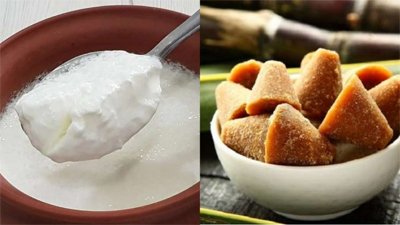 दही संग गुड़ खाने से जड़ से खत्म हो सकती है ये बीमारी, जानें सेहत के ...